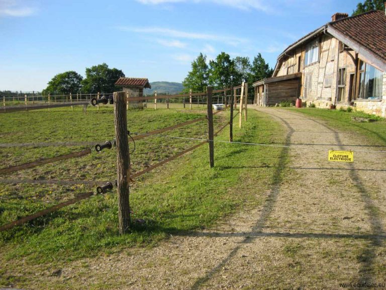 Une nouvelle clôture électrique de qualité pour chevaux | Blog Equitelec